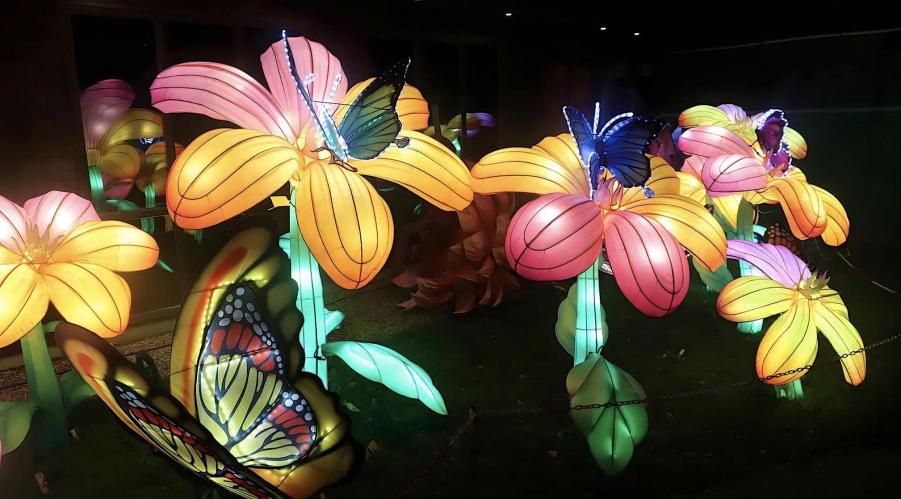 De 10 Mooiste Lichtfestivals Uitinvlaanderen